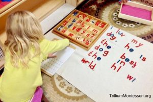 Montessori Language: An Overview of the Materials and Curriculum
