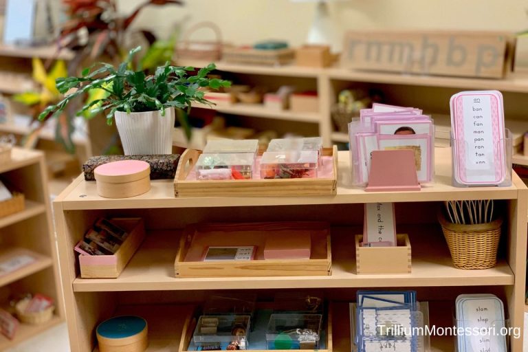 Montessori Language: An Overview of the Materials and Curriculum