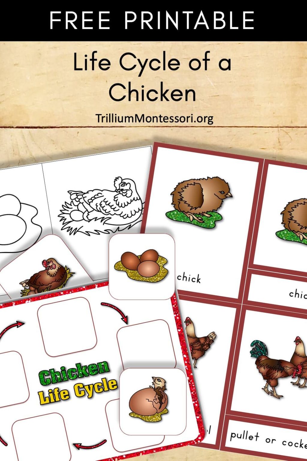 Free Montessori Printables