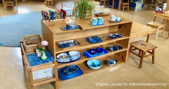 Montessori Practical Life Activities