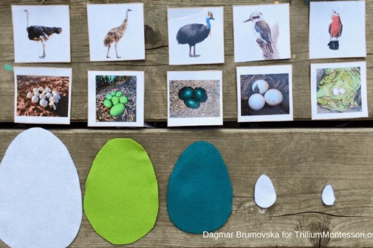 May Themes for Preschool