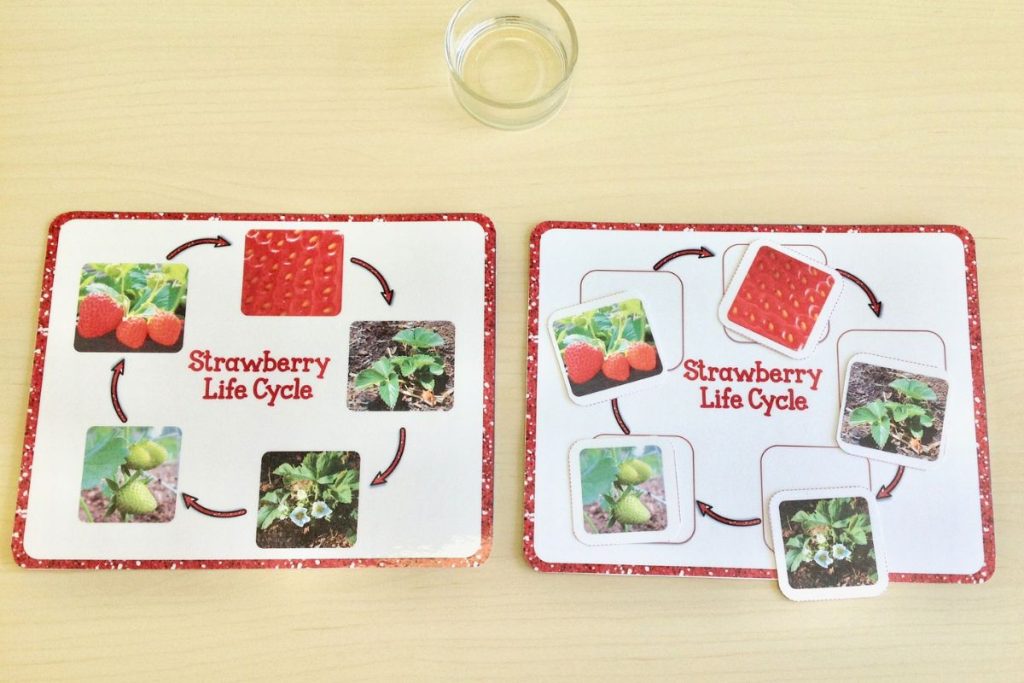 May Themes for Preschool