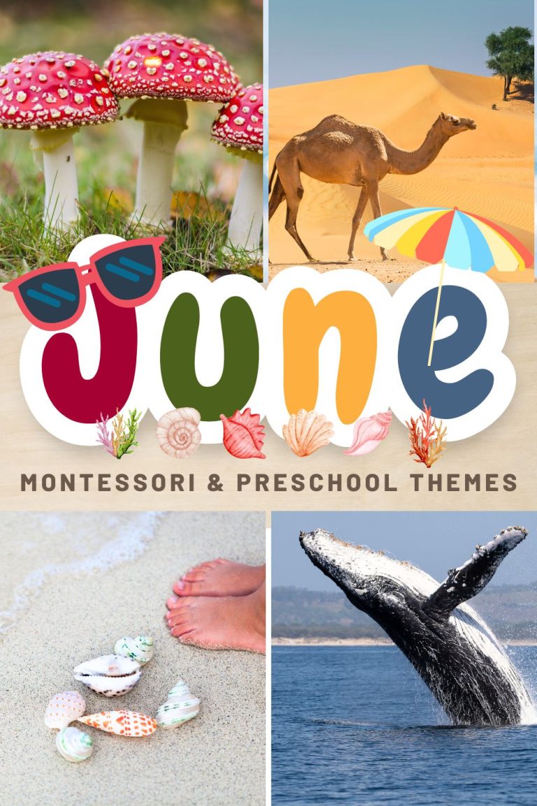 Preschool Themes for June