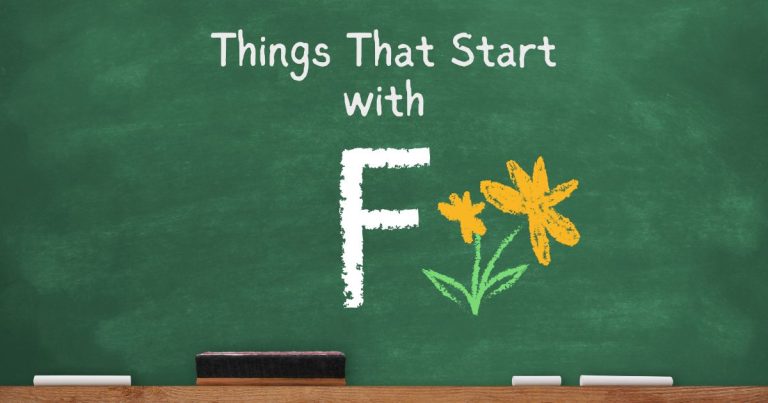 Things That Start with F