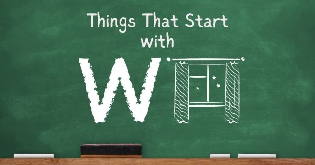 Things That Start with W