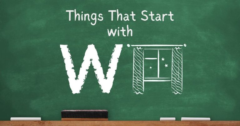 Things That Start with W