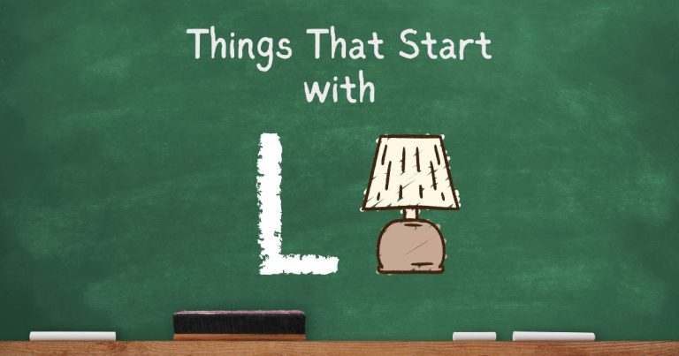 Things That Start with L