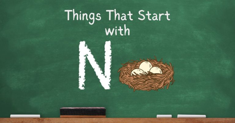 Things That Start with N