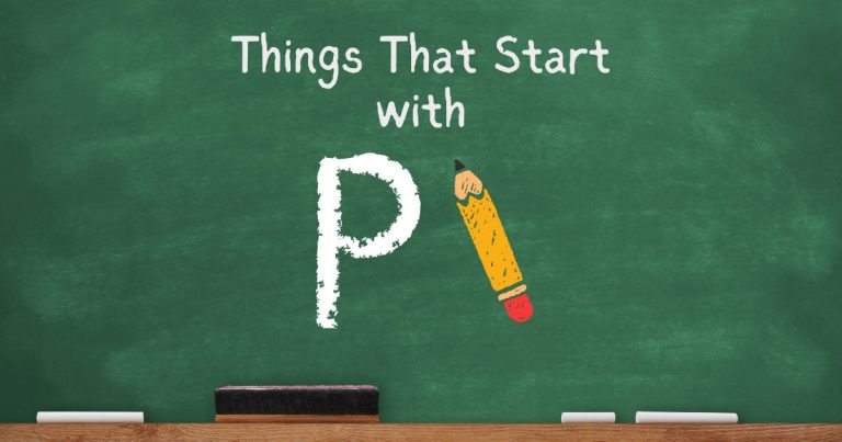 Things That Start with P