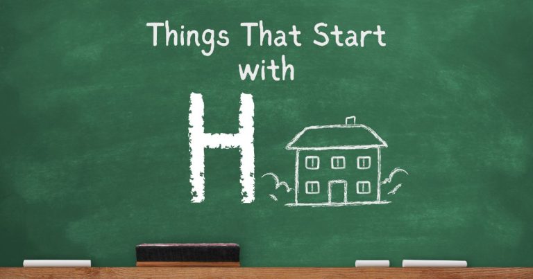 Things That Start with H