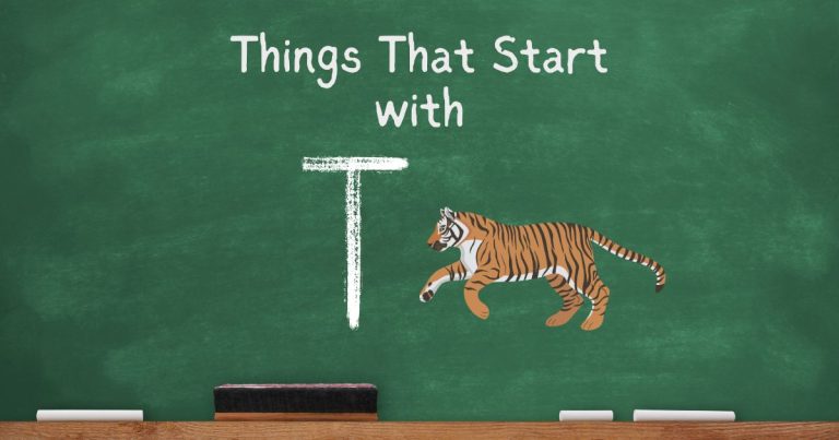 Things That Start with T
