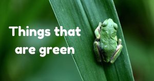 List of Things That Are Green