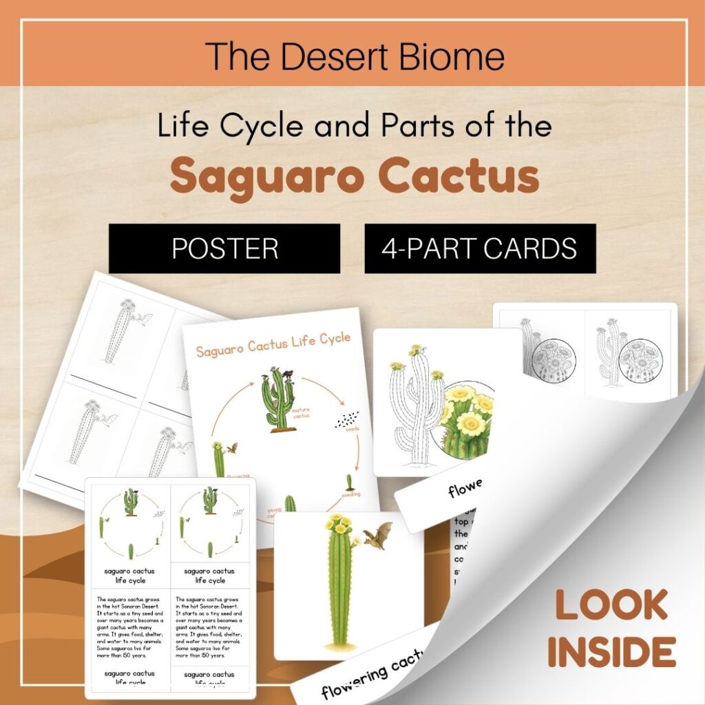 Biomes Bundle - Trillium Montessori