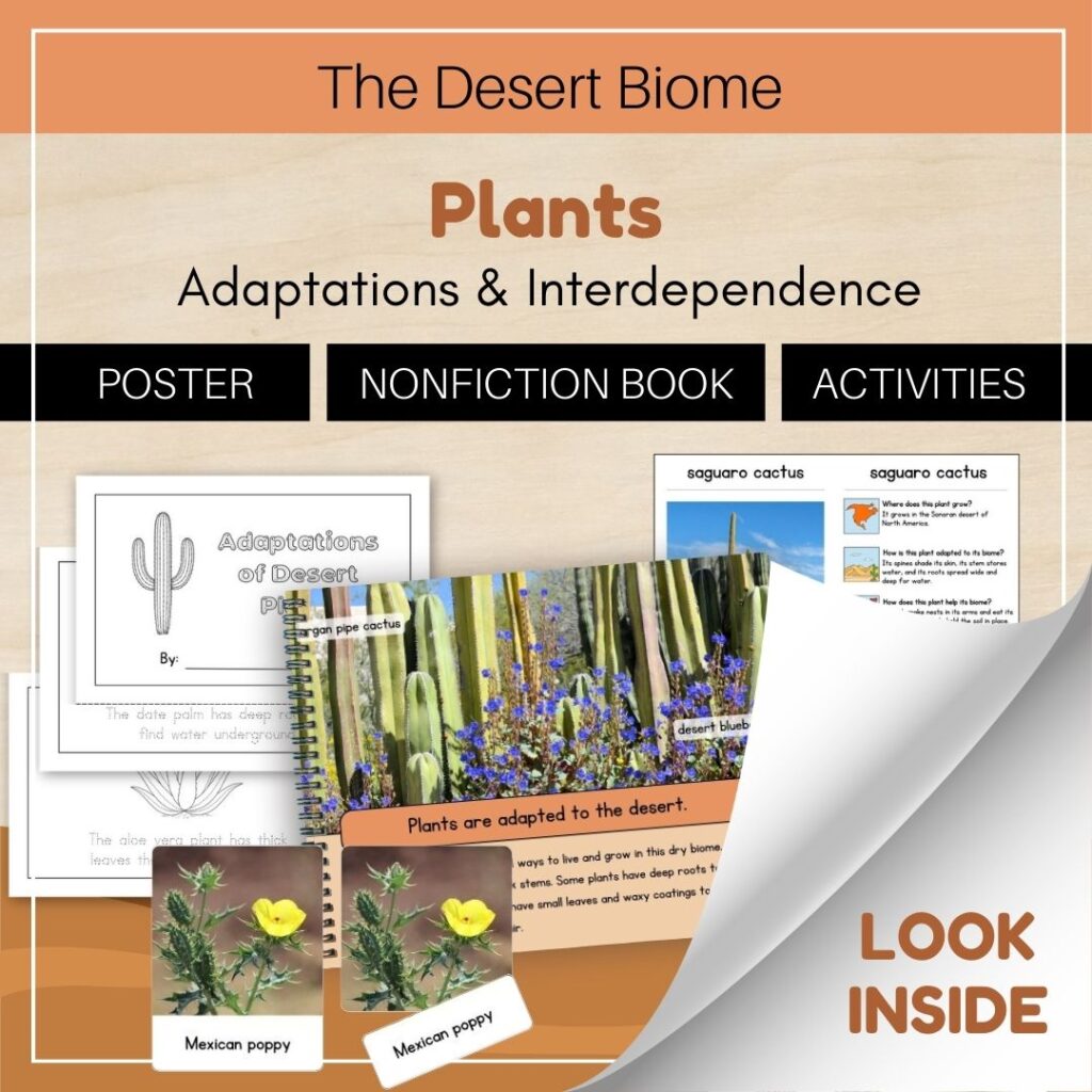 Biomes Bundle - Trillium Montessori