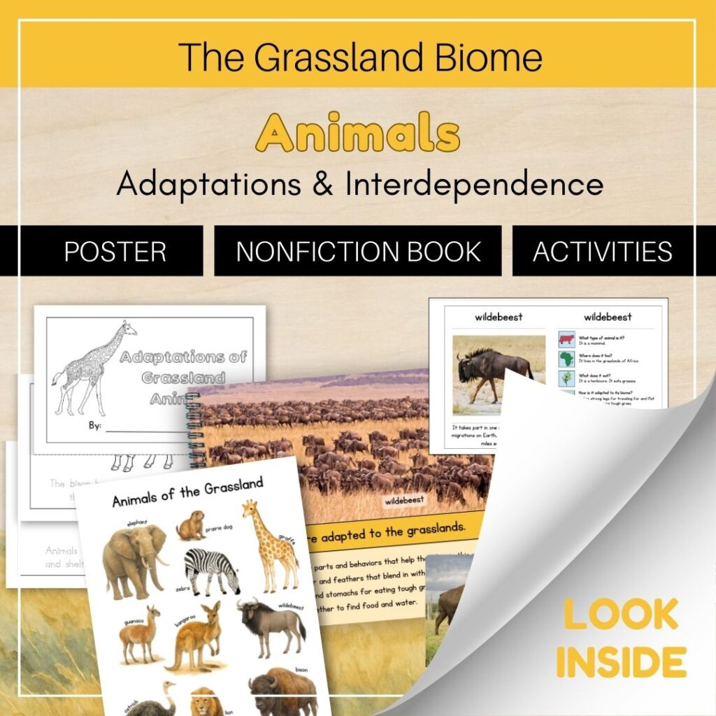Biomes Bundle - Trillium Montessori