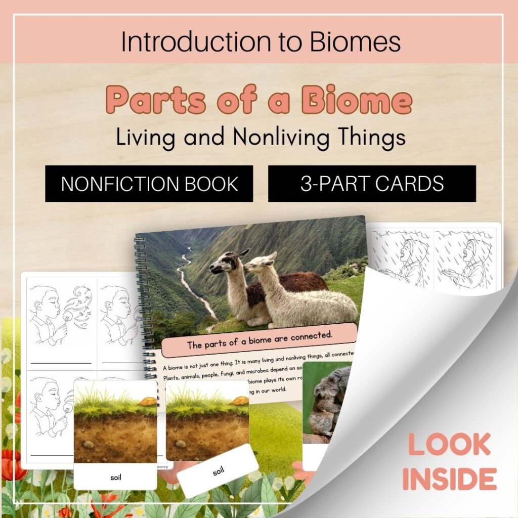 Biomes Bundle - Trillium Montessori