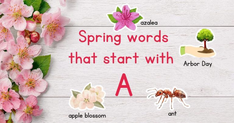Spring Words that Start with A