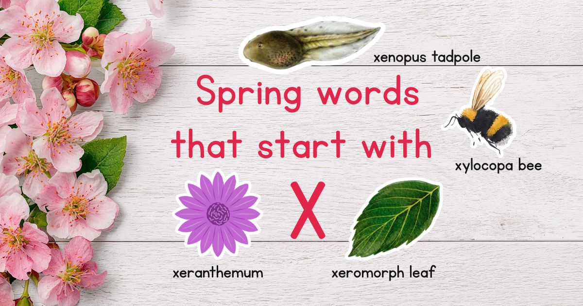 Spring Words that Start with X